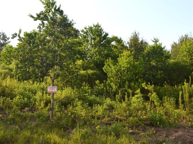 603 Road 5516