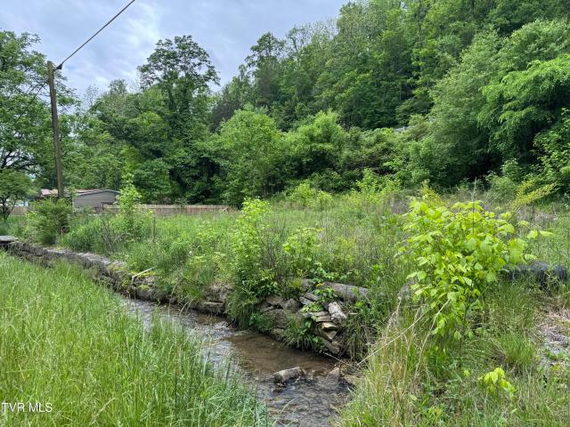 603 Town Branch Road