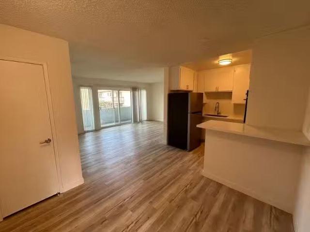 60457981 10205 Pinewood Ave #8