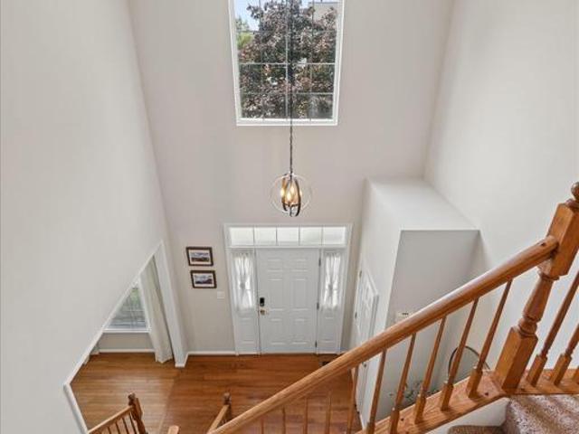 604 Bushytail Drive