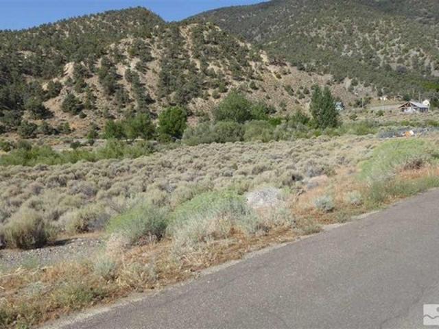 604 Kingston Canyon Rd Lot 48, Kingston, NV 89310