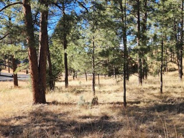 604 White Mountain Meadows Dr, Ruidoso, NM 88345