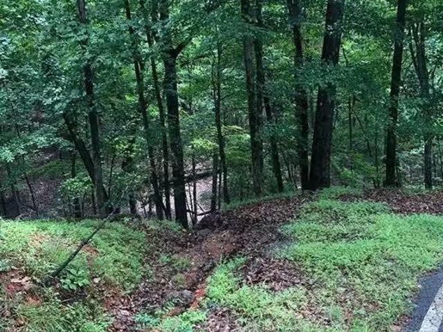 6055 Crested Iris Circle, Jasper, GA 30143 MLS 7426433