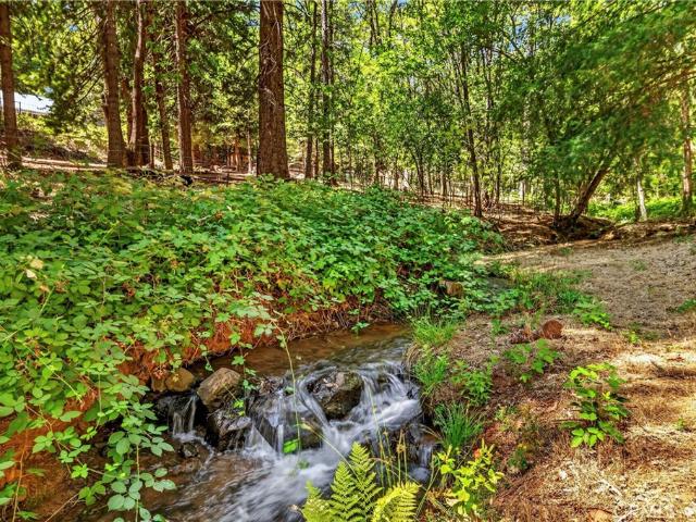 6055 Timber Ridge