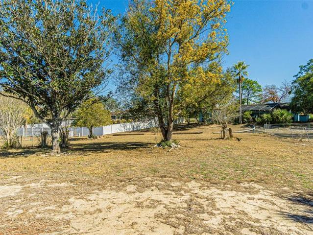 6056 Schalekamp Dr, Spring Hill, FL 34609 | MLS #TB8474