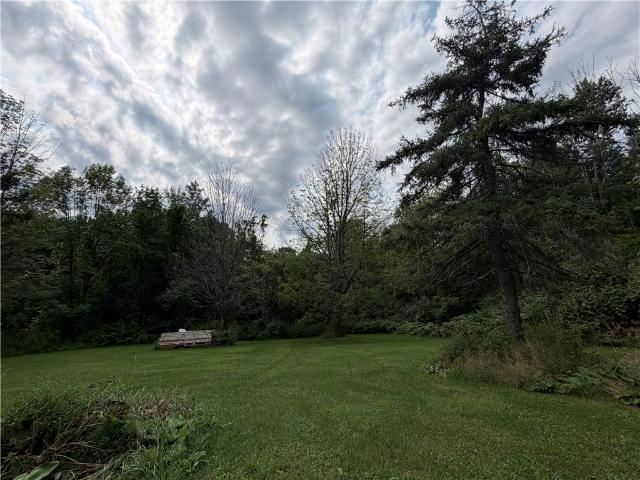 6050 Pegasus Trl Trail