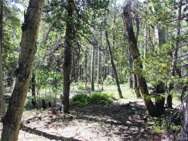 6050 Virginia Canyon Road