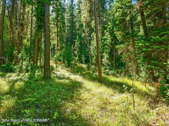 6050 W Rd, Wilson, WY 83014 | MLS #24 2918 | Compass