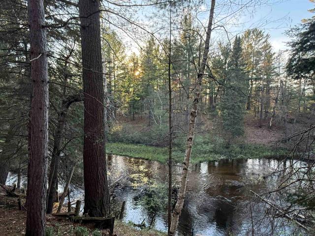6051 N Manistee River Road # Lot: 13