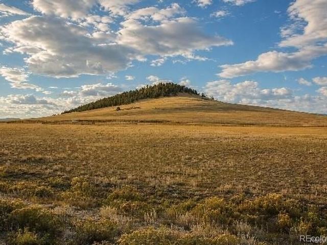 6065 Moffat Rd, Hartsel, CO 80449