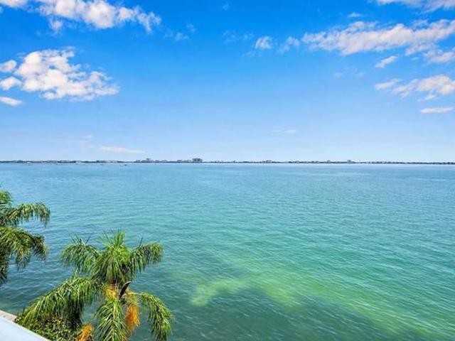 6060 Shore Blvd S #307, Gulfport, FL 33707
