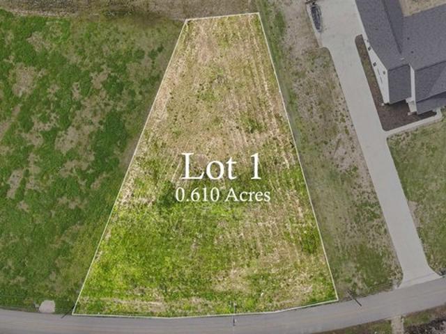 606 Bayou Dr Lot 1, Pierre Part, LA 70339