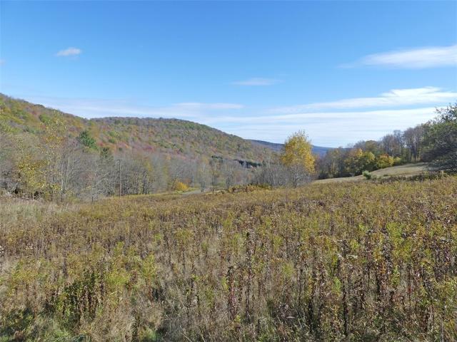 606 Bussey Hollow Road