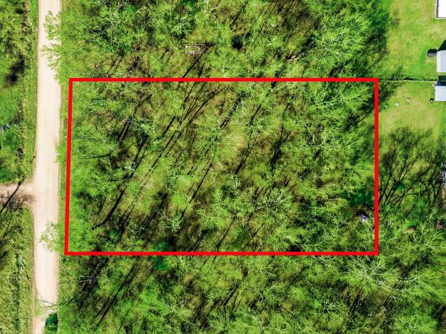 606 Moon Beam Dr, Livingston, TX 77351 | MLS #35982 | Compass