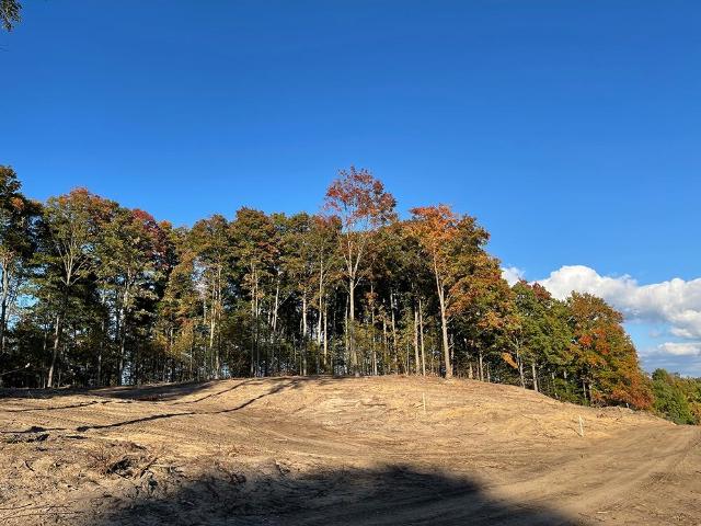 6075 Mountain Sky Road # Lot 63