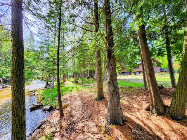 6075 Cedar River Road