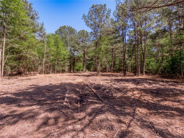 6077 County Road 4200, Pennington, TX 75856 | MLS #101984