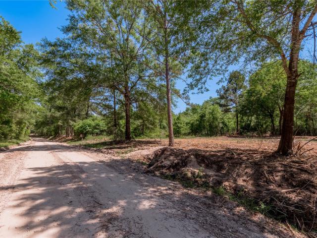 6077 1 Cr, Lovelady, TX 75851 | MLS #54717