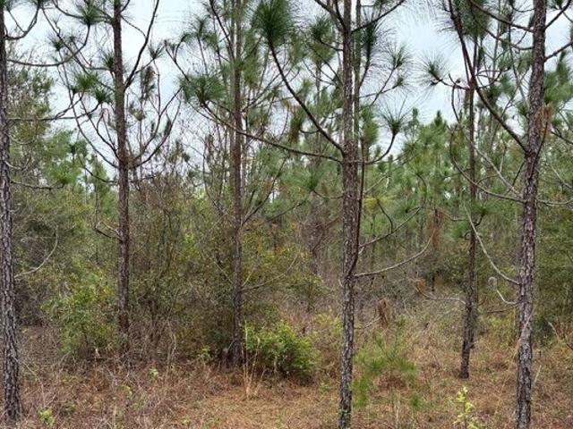 6073 SW 55th Ave, Jasper, FL 32052