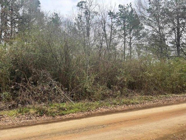 606 County Road 3140, Center, TX 75935