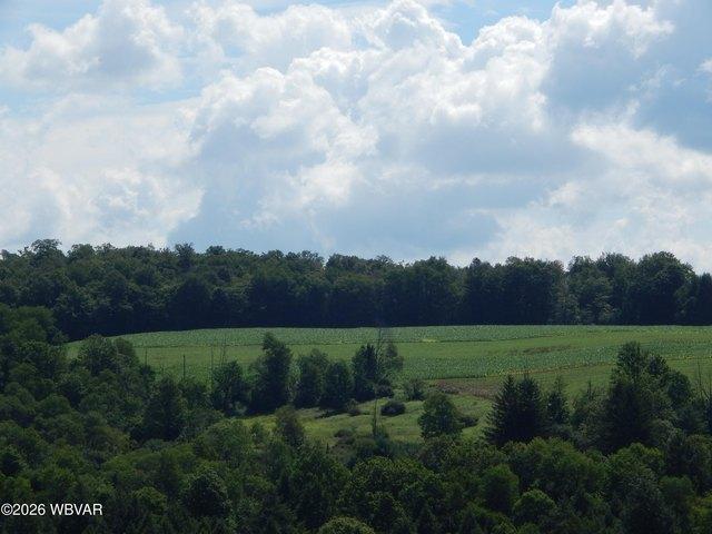 607 Brick Church Rd Parcel 1, Liberty, PA 16930