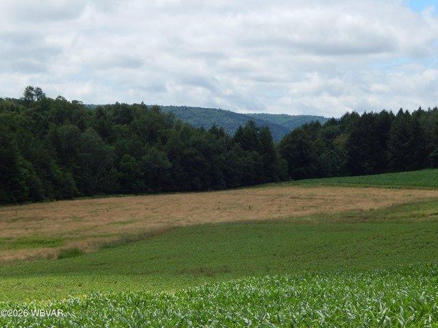 607 Brick Church Rd Parcel 2, Liberty, PA 16930