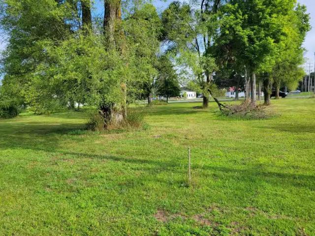 607 Shaw St, Howard City, MI 49329 MLS 24036743