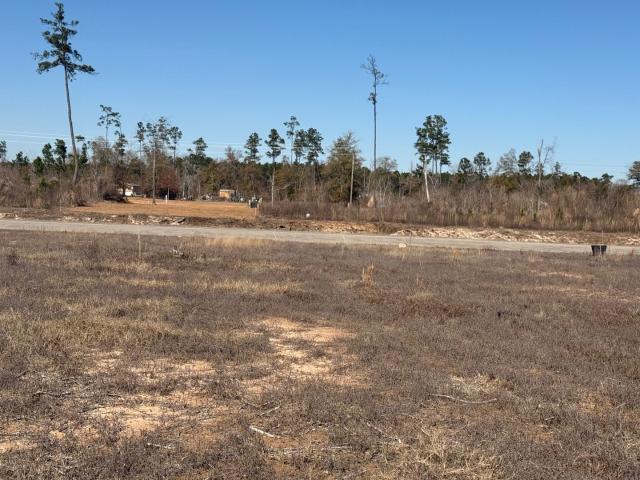 6089 Road 5872 Cleveland, TX 77327 | MLS #74775