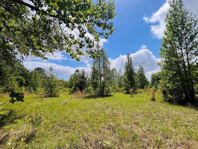 6080 Highway 103, Bronson, TX 75930