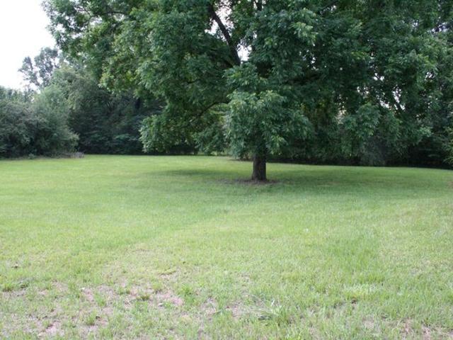 6096 Warrior River Rd Lot 1, Bessemer, AL 35023
