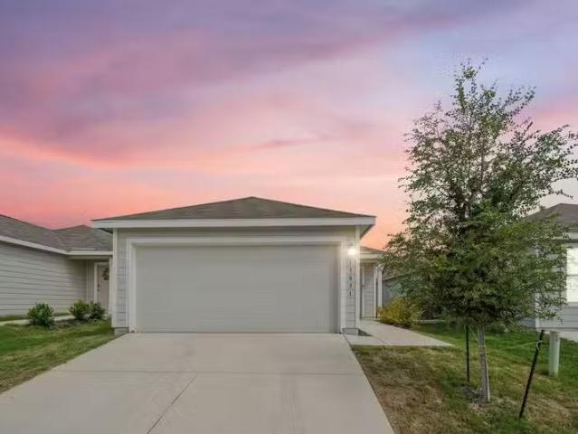 60906492 13831 Ostrich Run