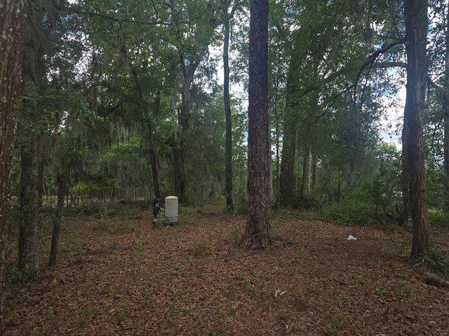 6090 NE 87th Ter, Bronson, FL 32621