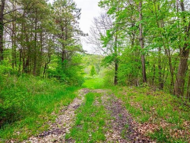 60936 Patch Rd, New Concord, OH 43762
