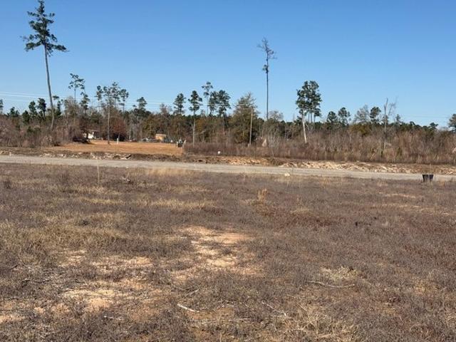6093 Road 5872, Cleveland, TX 77327