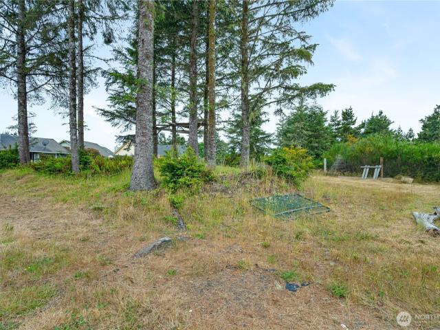 609 Blue Wing Loop SE