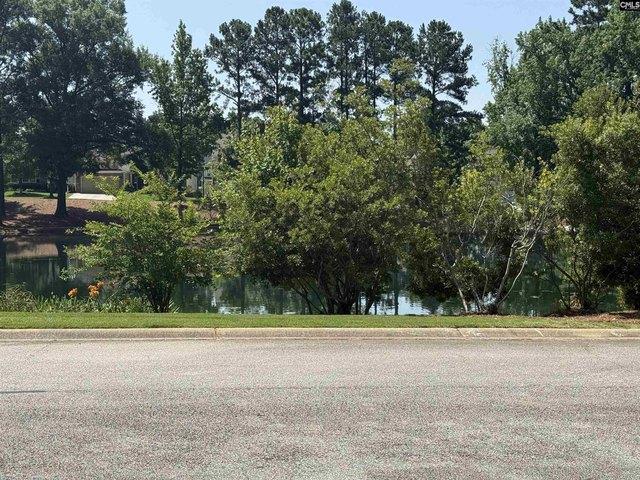 609 Dew Pond Rd, Blythewood, SC 29016