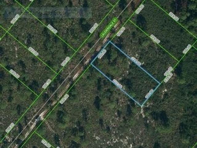 609 Lauderdale St, Lake Placid, FL 33852