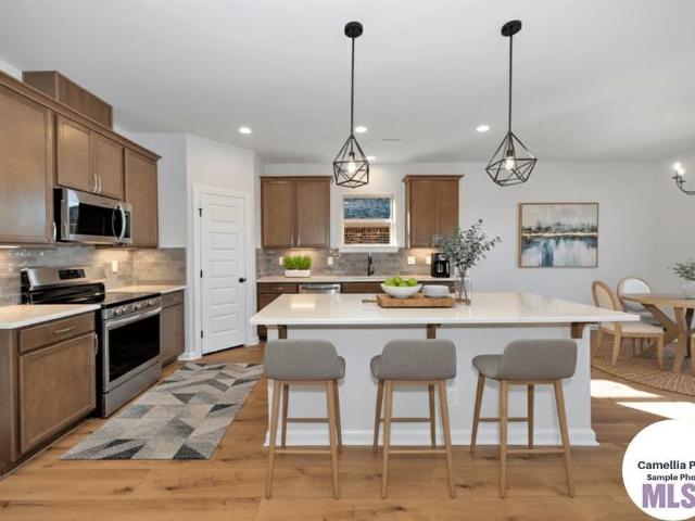 609 Ramsey Spring Drive