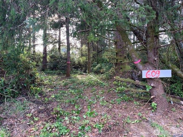 609 Weatherwax Loop NE, Ocean Shores, WA 98569