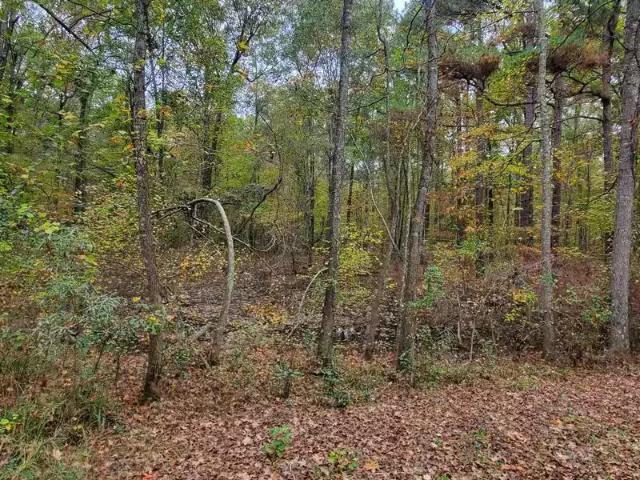 60.50 PR 1102, FOUKE, AR 71837