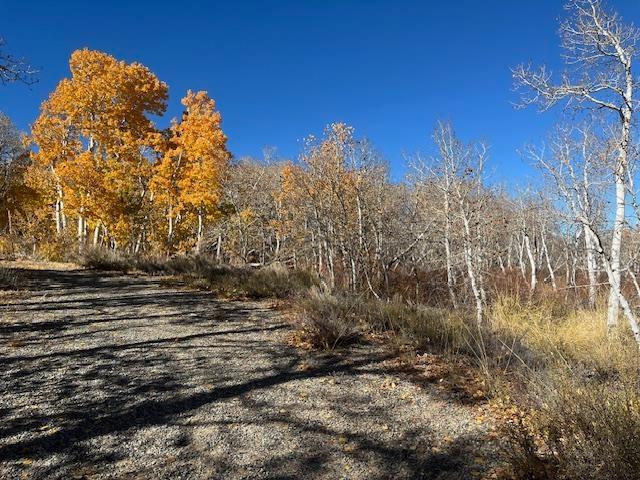 60 210 008 Crowley Lake Dr, Mammoth Lakes, CA 93546 | MLS #250756