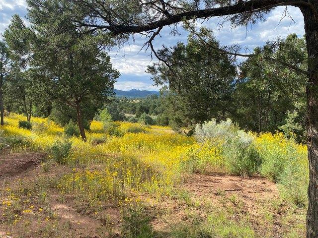 60 The Clfs Lot 5A, Glorieta, NM 87535