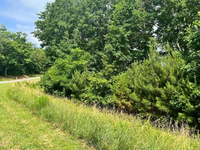 60 Thirteen Hundred Lot 60, Blairsville, GA 30512