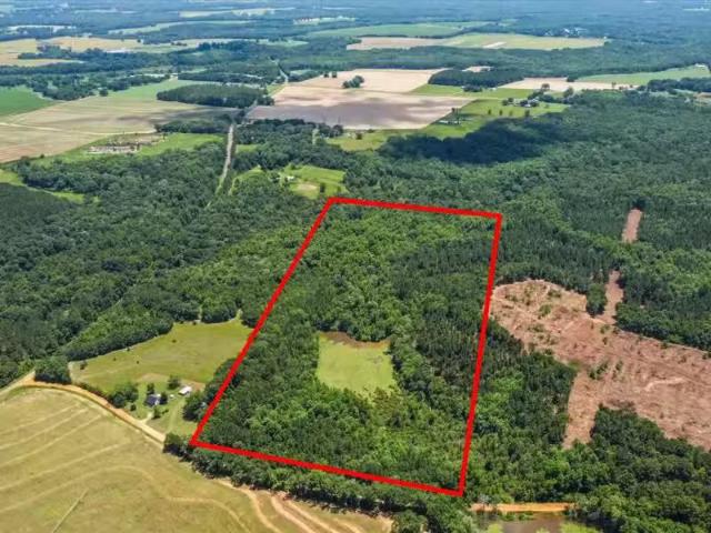 60 AC J L HOGAN ROAD, COFFEE SPRINGS, AL 36318