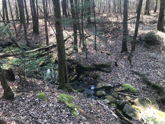 60 ± AC Jim Garrett Rd