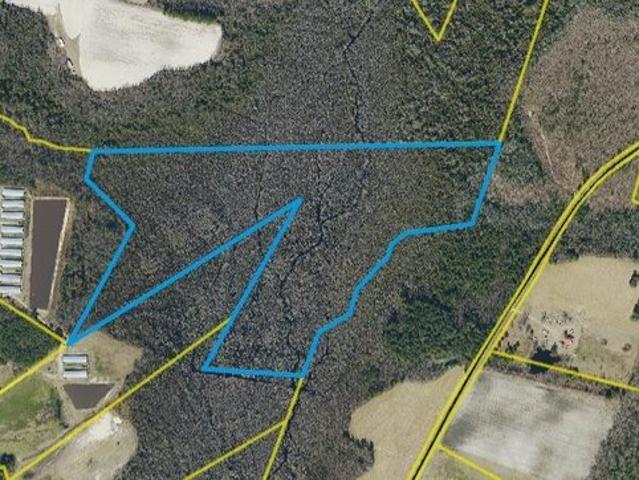 60 Ac Rom M Smith Tract, Elizabethtown, NC 28337
