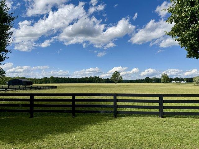60 Acres Flatwoods Rd, Nancy, KY 42544