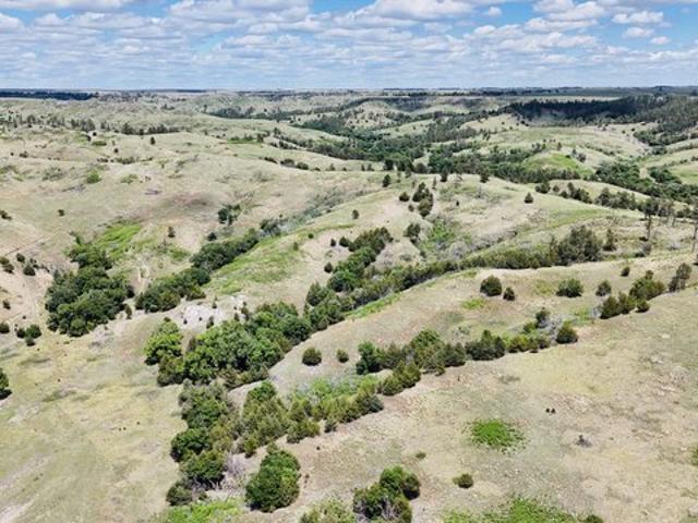 60 Acres, Norden, NE 68778