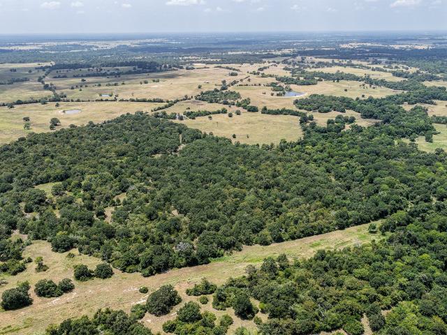 60 Acres Petri Lane