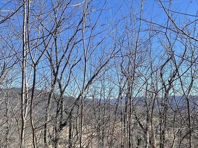 60 and 61J Mtn, Hayesville, NC 28904